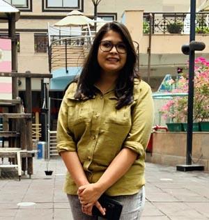 TAUS Human Language Project